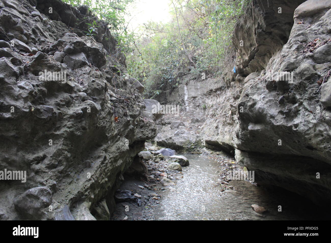 Robbers Cave Dehradun Uttarakhand Indian.Guchu pani Dehardun Stock ...