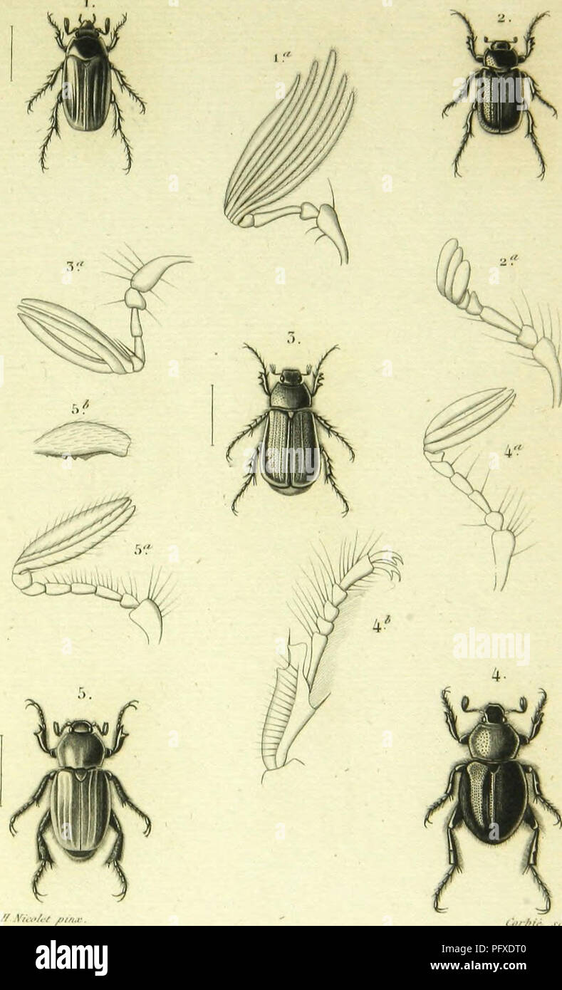 This natural history work provides a systematic and critical exposition ...