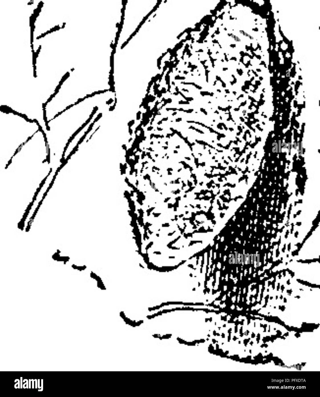 J 120 Black and White Stock Photos & Images - Alamy