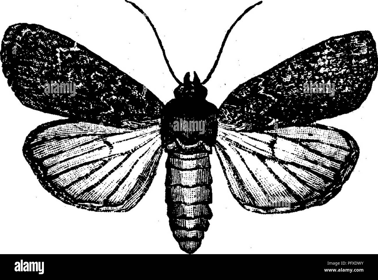 Inverted funnel Black and White Stock Photos & Images - Alamy