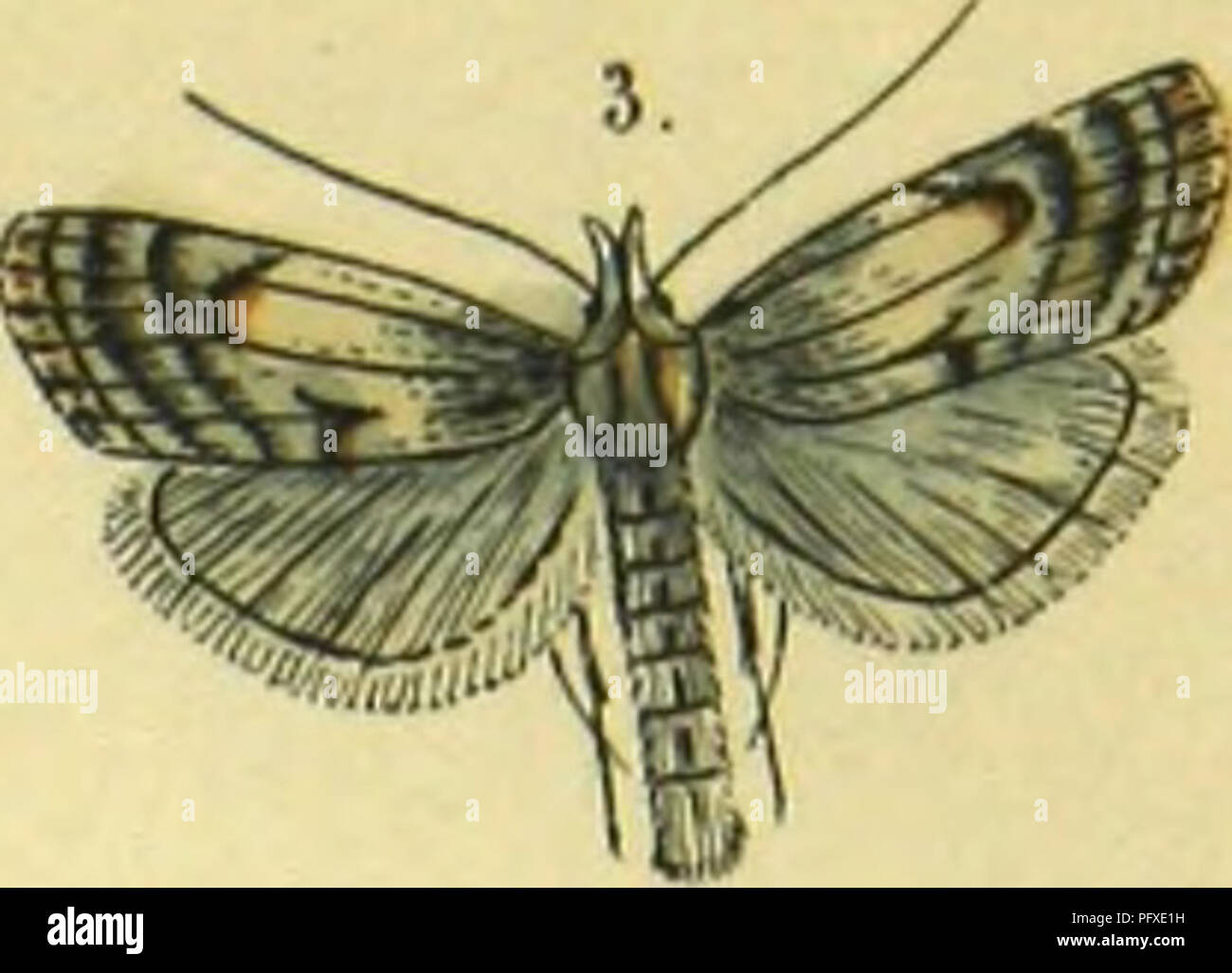 This work presents a systematic description and illustrations of ...
