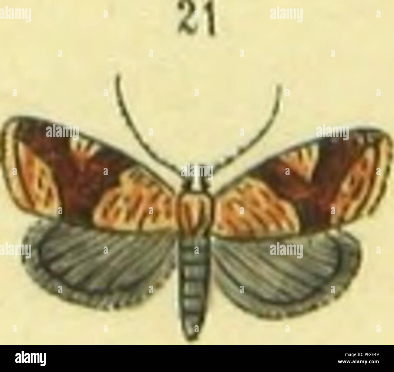 This work presents a systematic description and illustration of ...