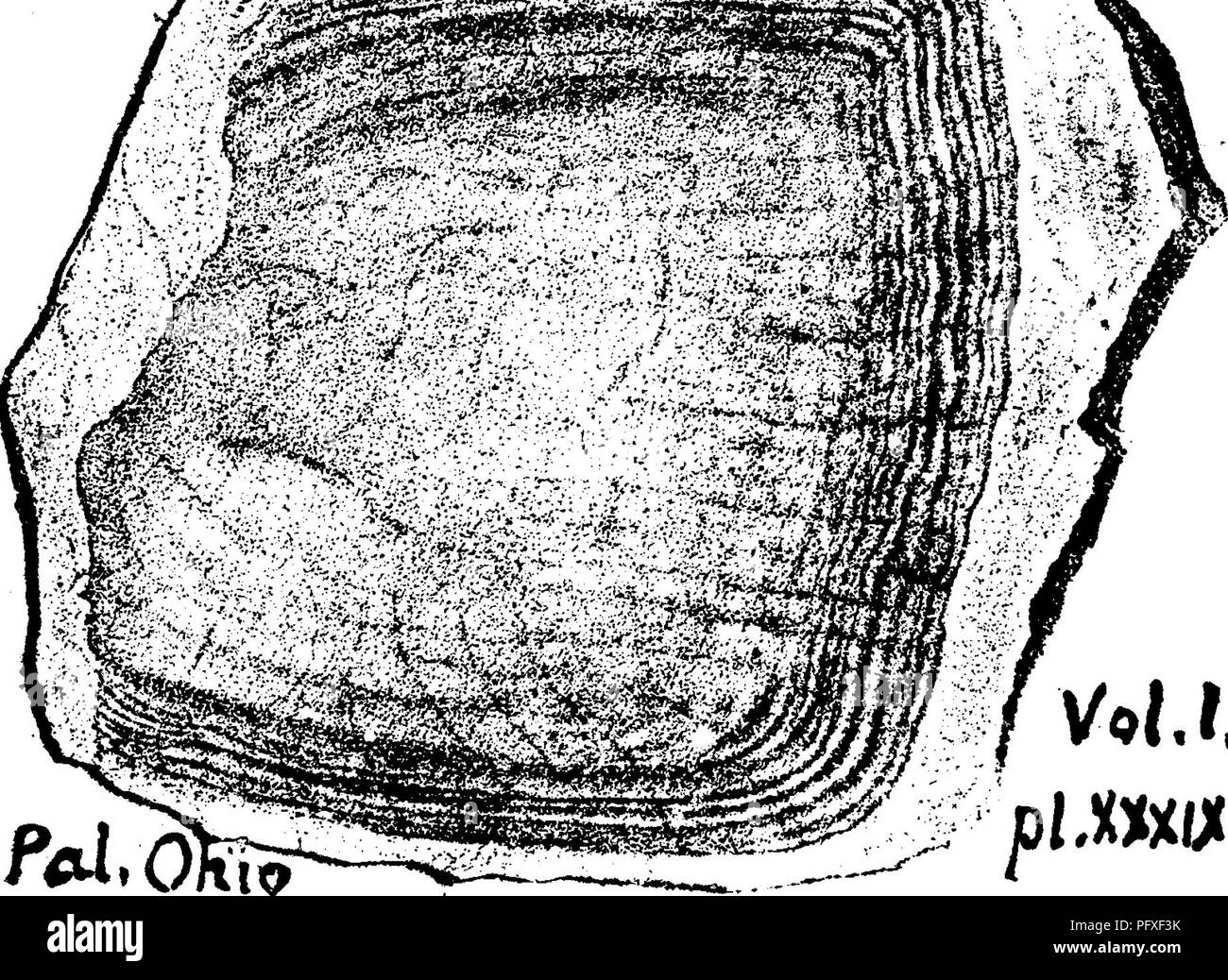 This dictionary catalogs fossils found in Pennsylvania and surrounding ...