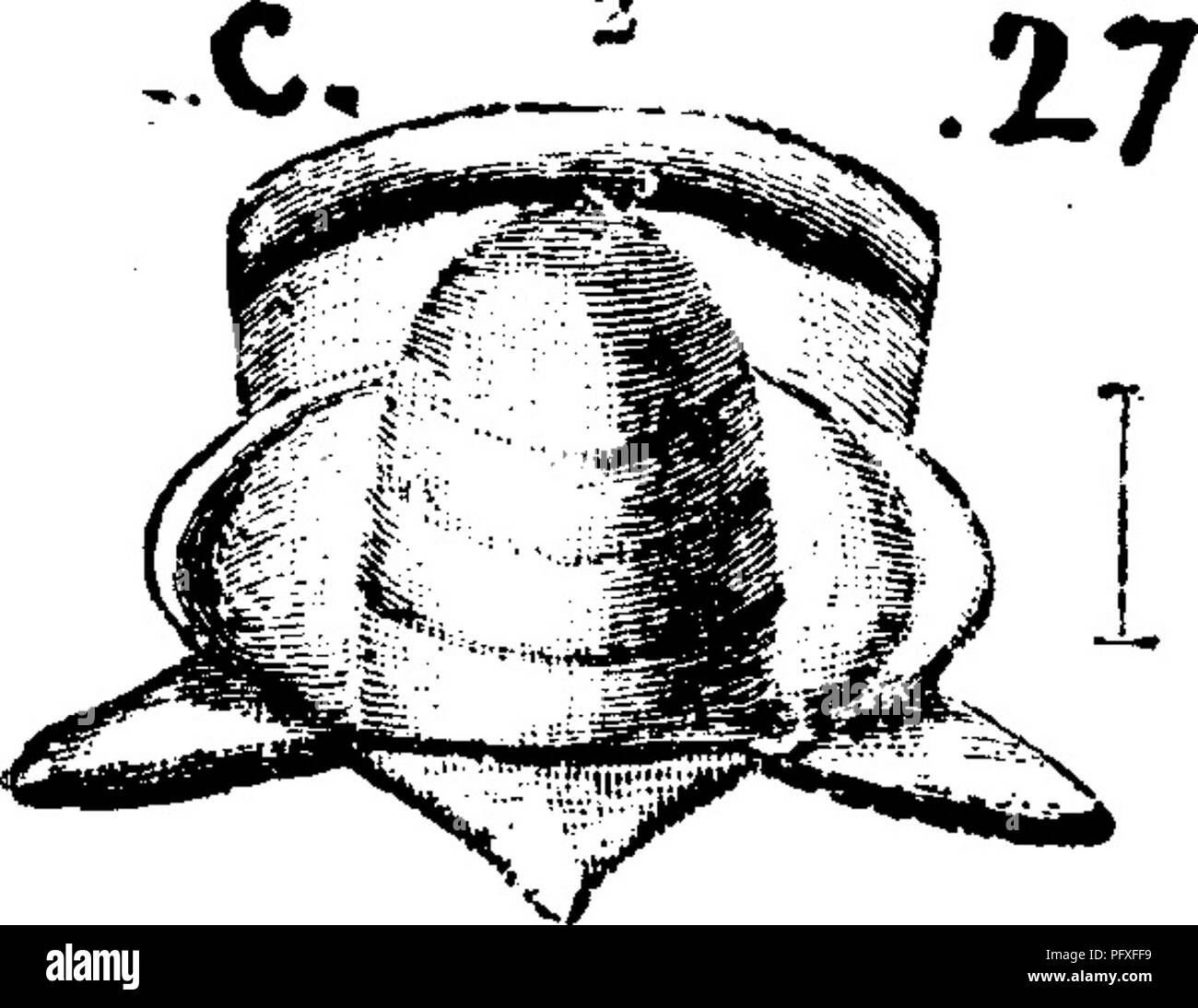 This dictionary provides detailed information on fossil species found ...