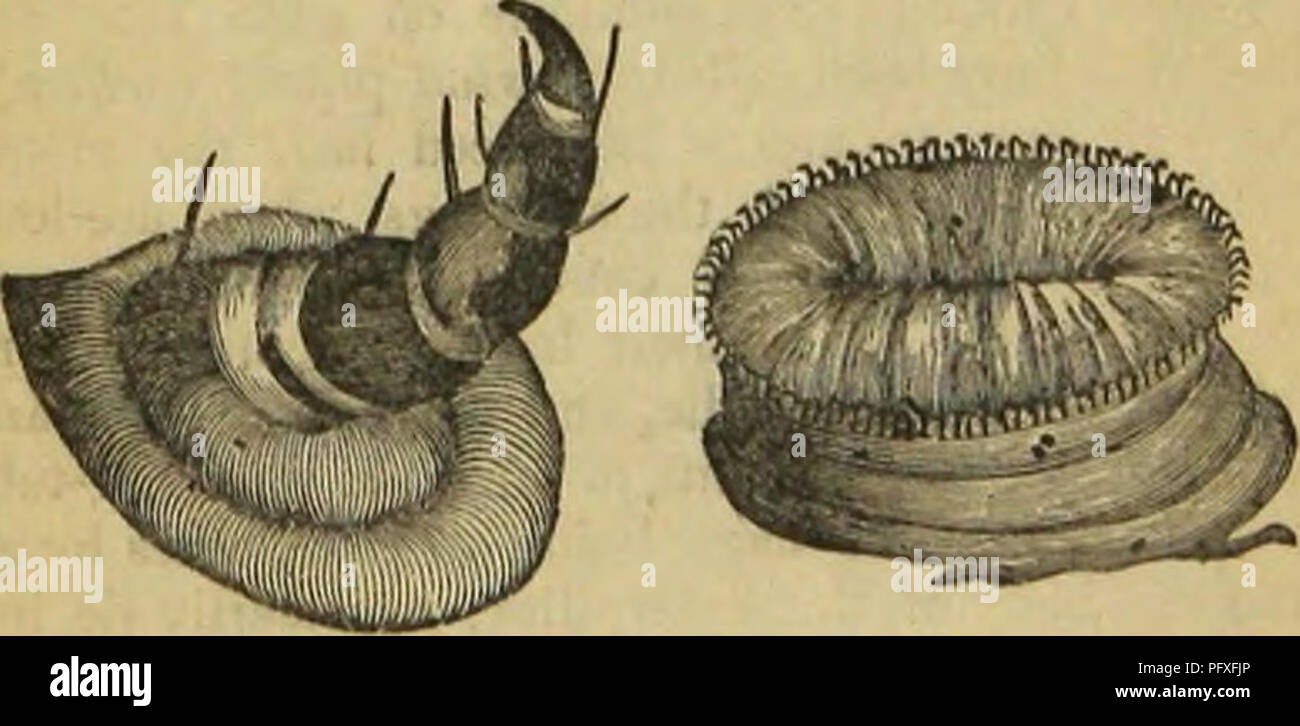 307 feet hi-res stock photography and images - Alamy