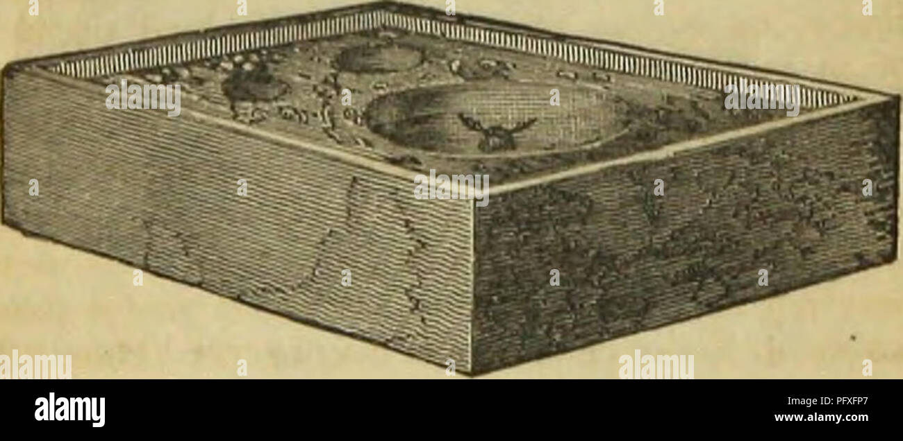 This image shows the remarkable architectural ability of certain ...