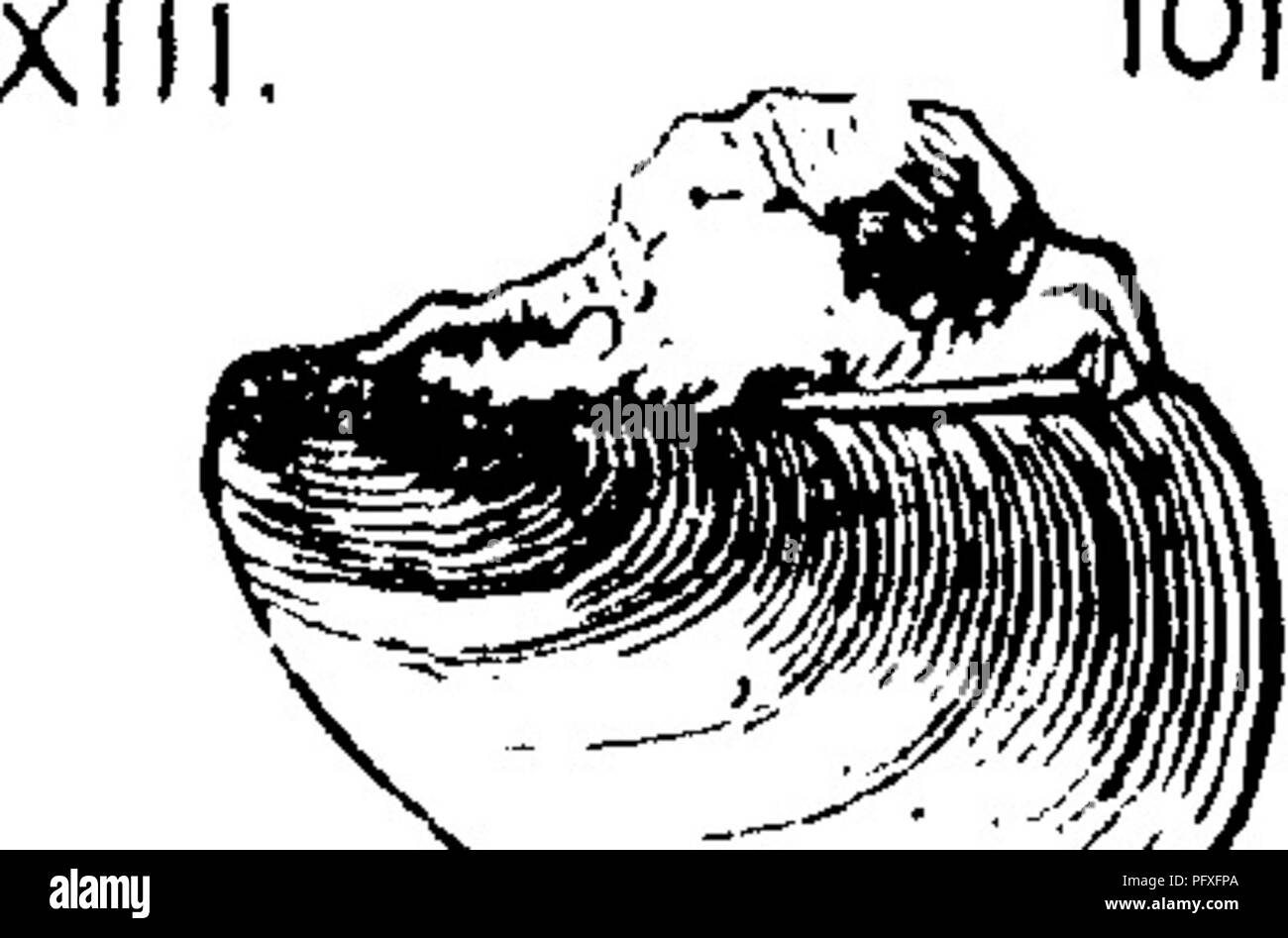 Dawson formation hi-res stock photography and images - Alamy