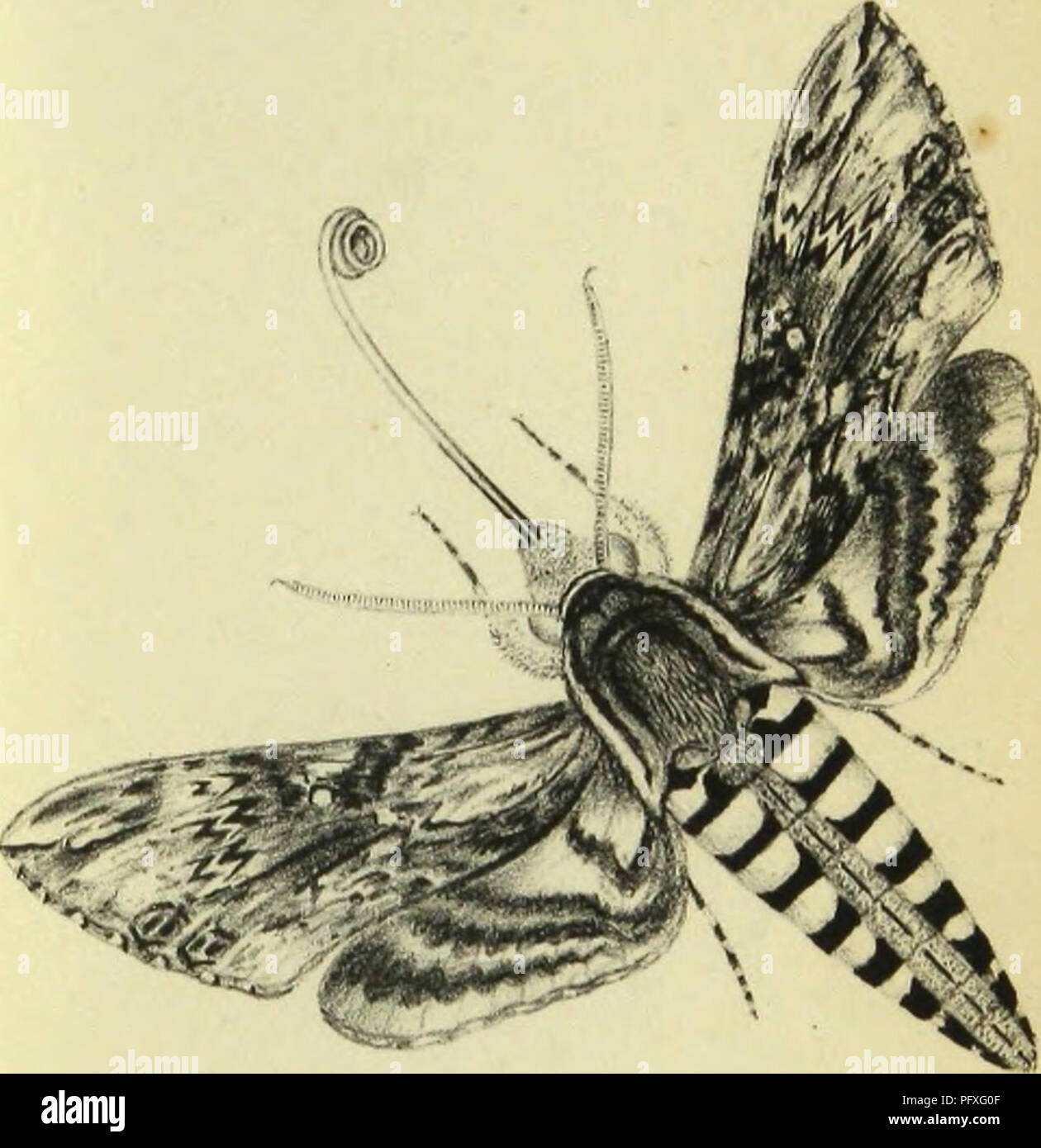 This work by Jonas David Labram and Ludwig Imhoff highlights the most ...