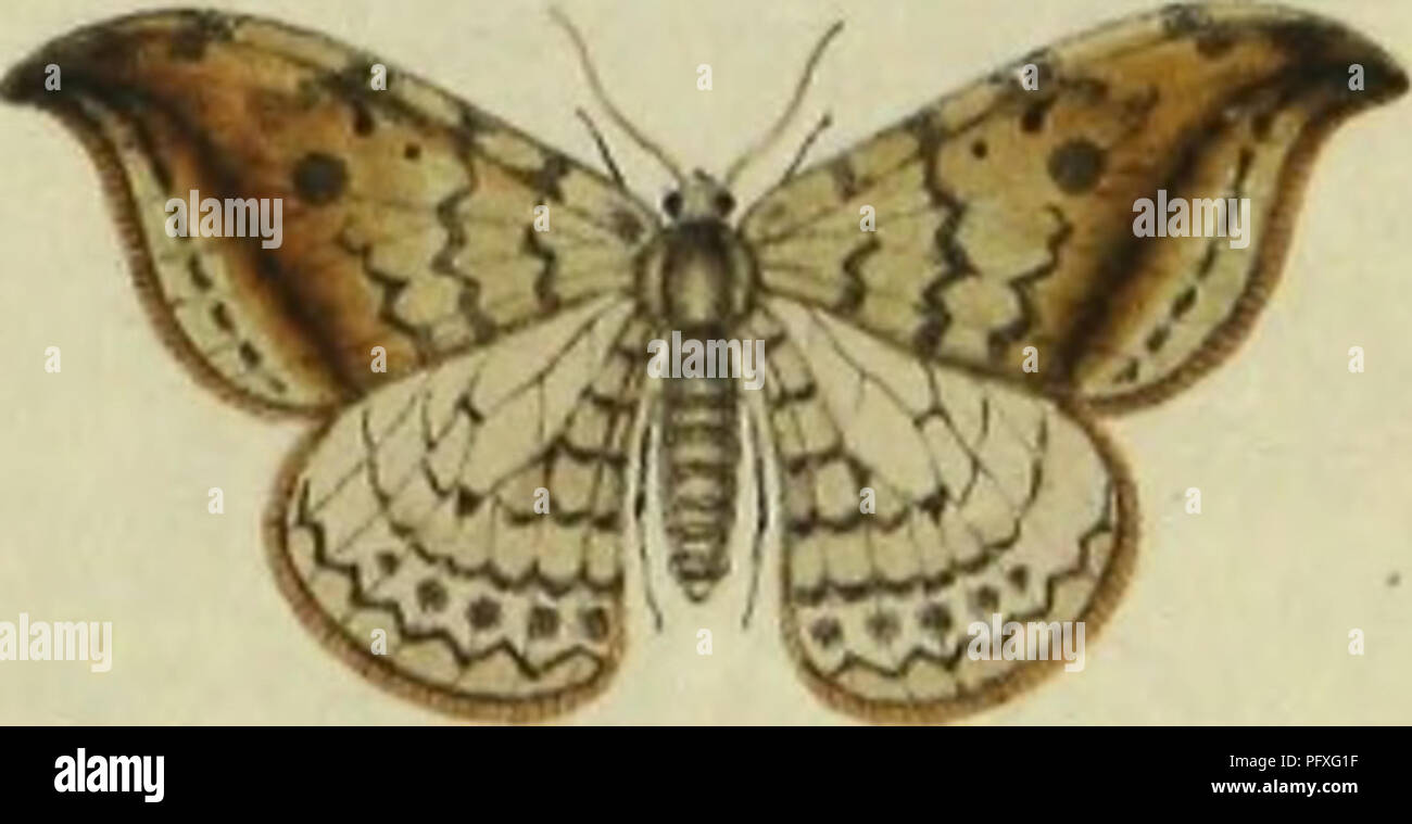 This work by Jonas David Labram and Ludwig Imhoff presents detailed ...