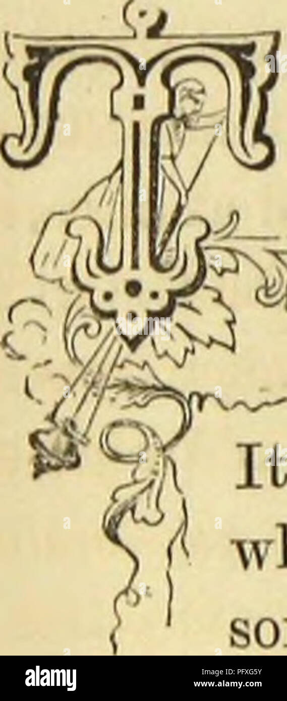 Vivarium Insect High Resolution Stock Photography and Images - Alamy