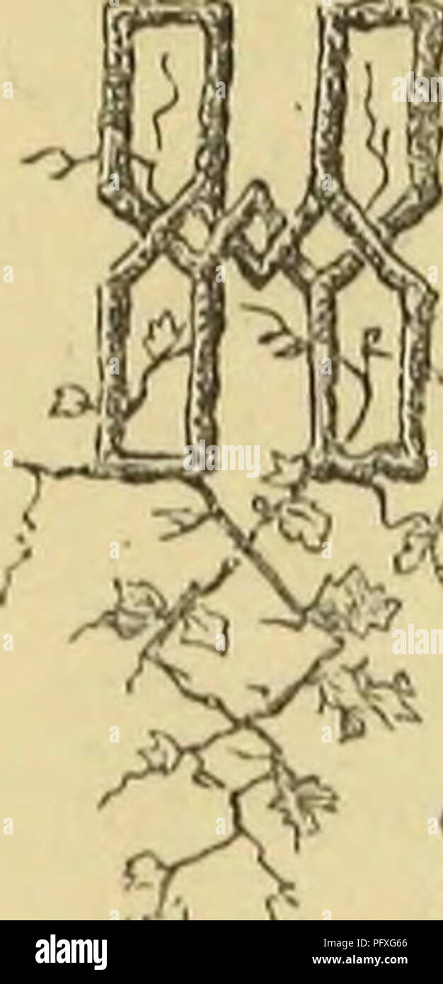 . The butterfly vivarium; or, Insect home: being an account of a new ...