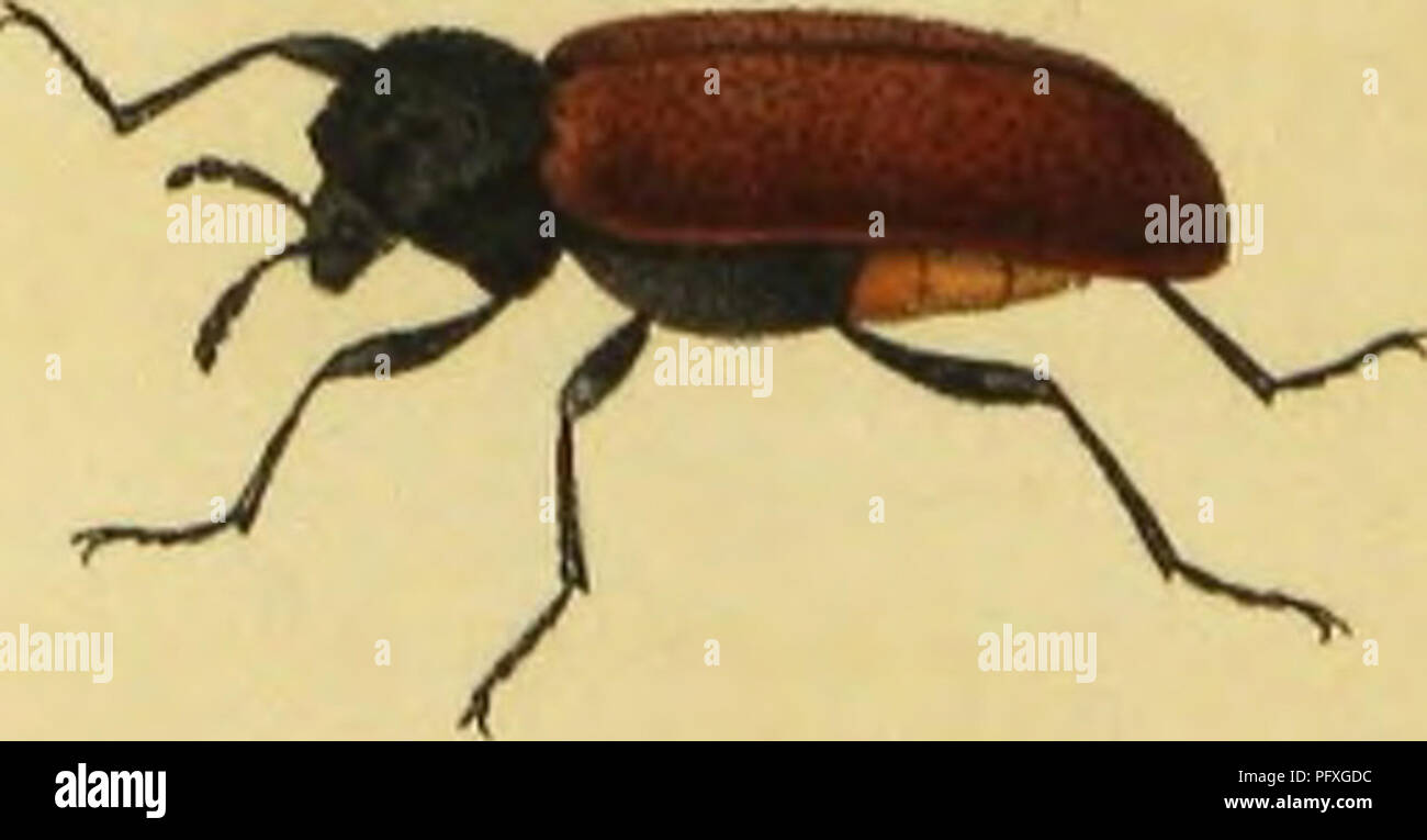 This work by Jonas David Labram and Ludwig Imhoff features ...