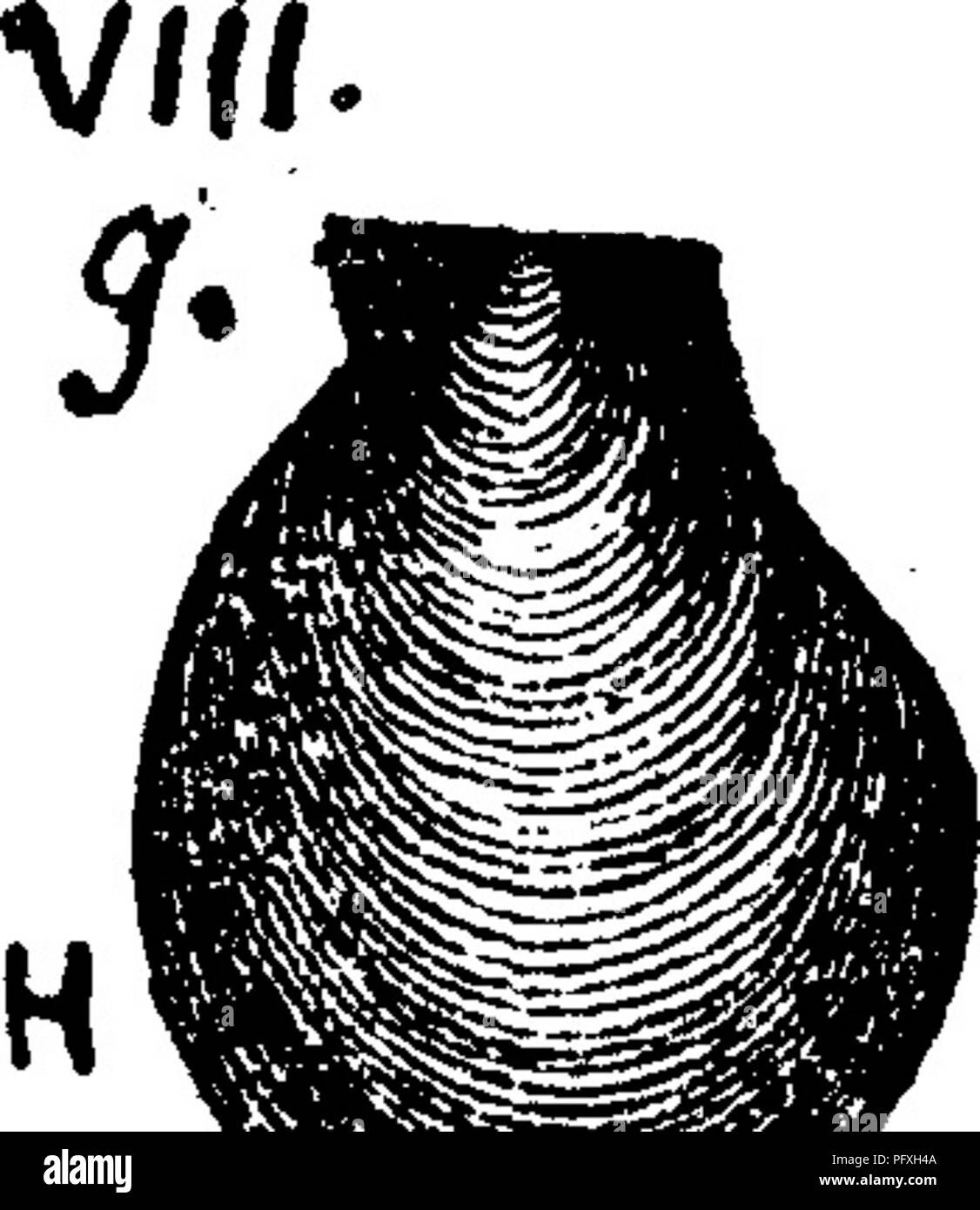 This dictionary catalogs fossils from Pennsylvania and neighboring ...