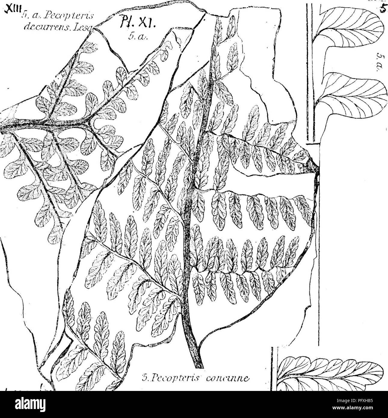 6 230 Black and White Stock Photos & Images - Alamy