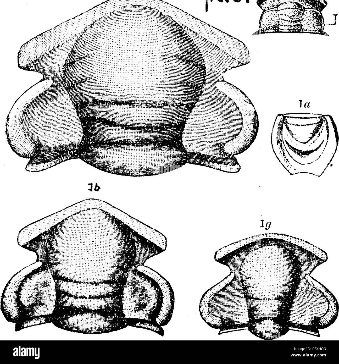 Vh 1 Black and White Stock Photos & Images - Alamy