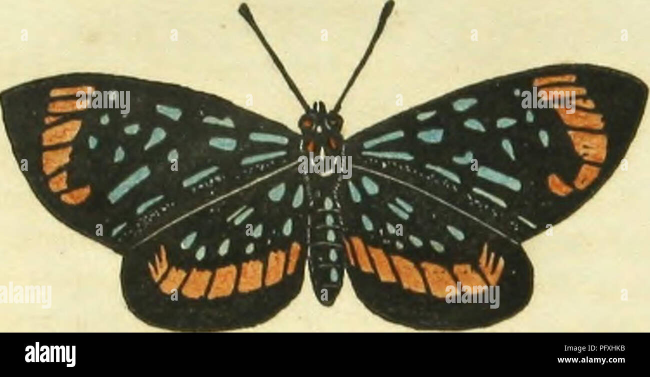 This book features detailed illustrations and descriptions of various ...