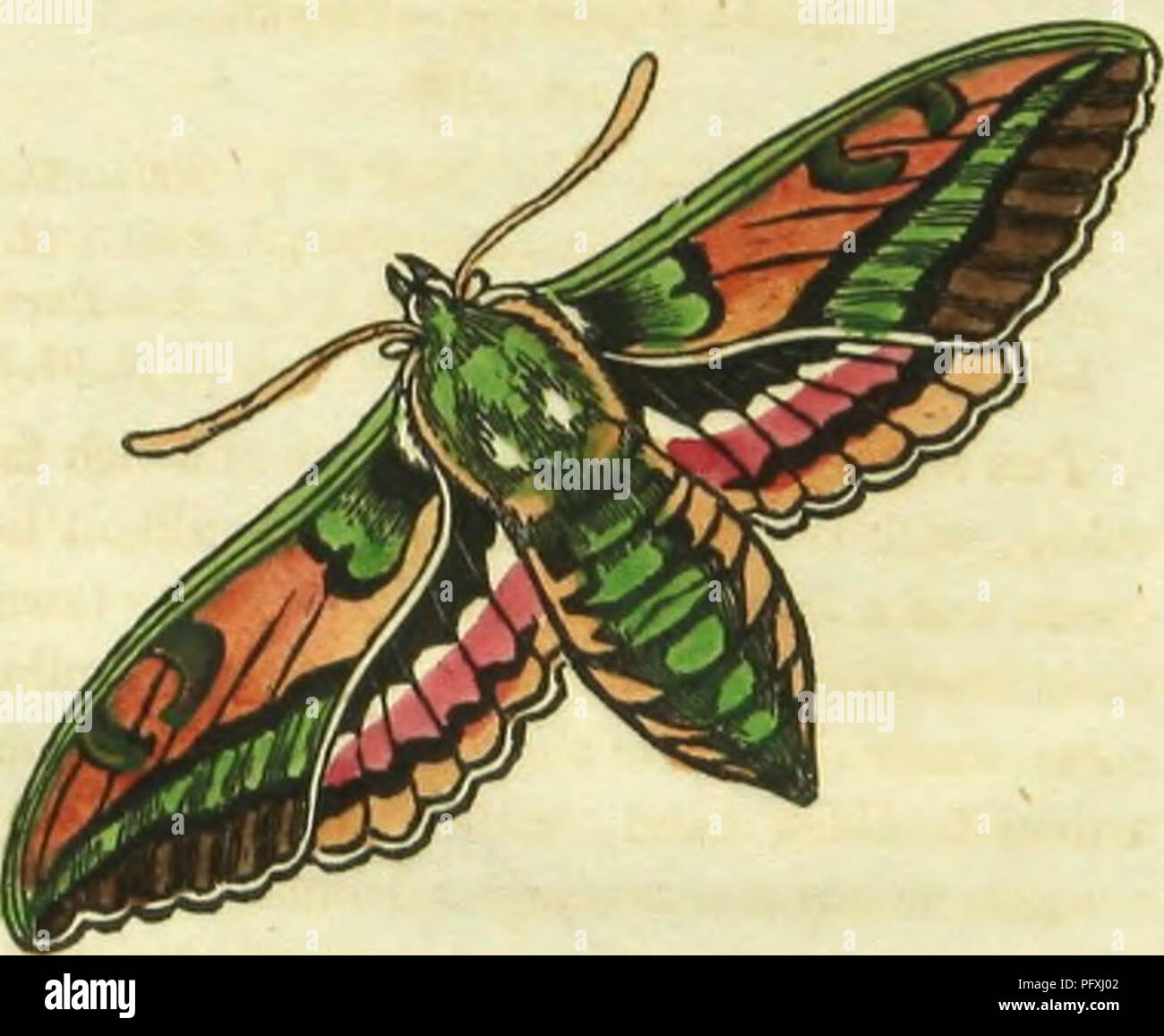 This volume provides illustrations and descriptions of various ...