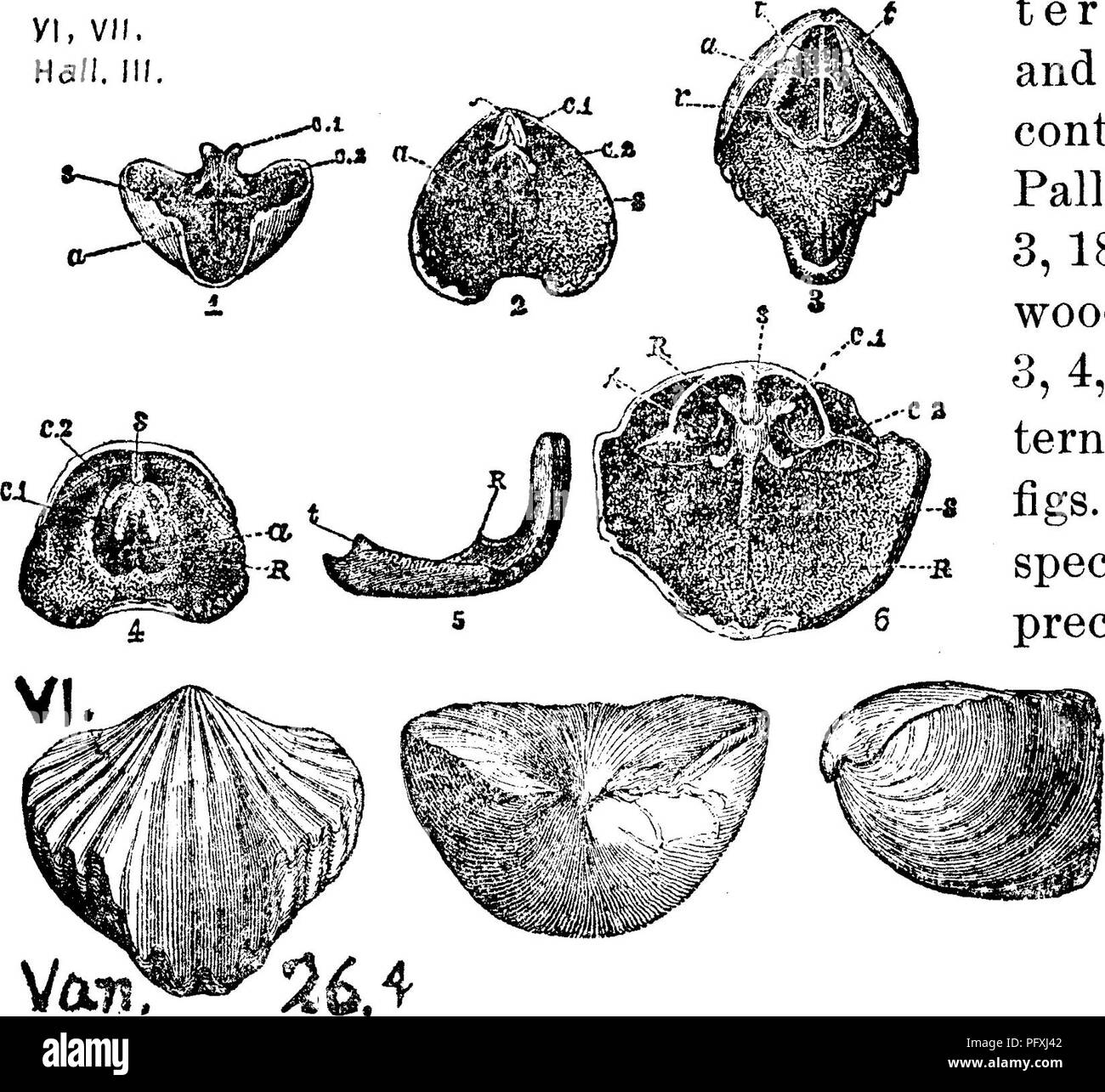 This dictionary catalogs fossils from Pennsylvania and neighboring ...