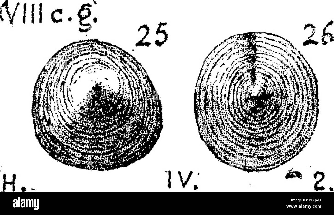 E 4 15 6 Black and White Stock Photos & Images - Alamy