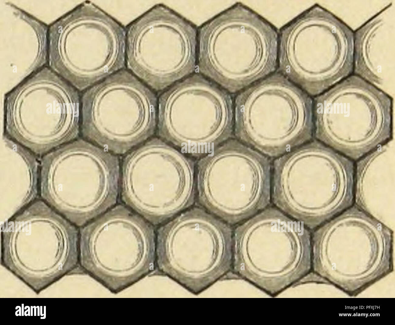 Avant ou arrière hi-res stock photography and images - Alamy