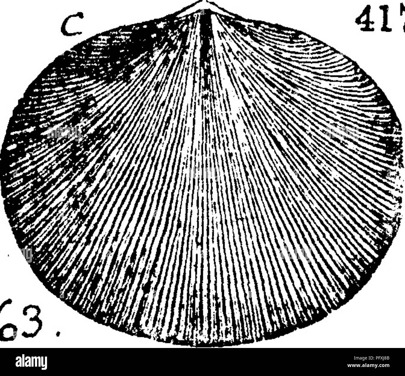 808 24 Black and White Stock Photos & Images - Alamy