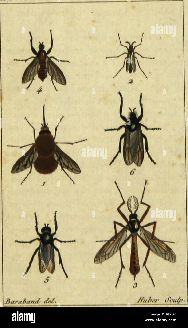 This detailed work on the natural history of insects compiles studies ...