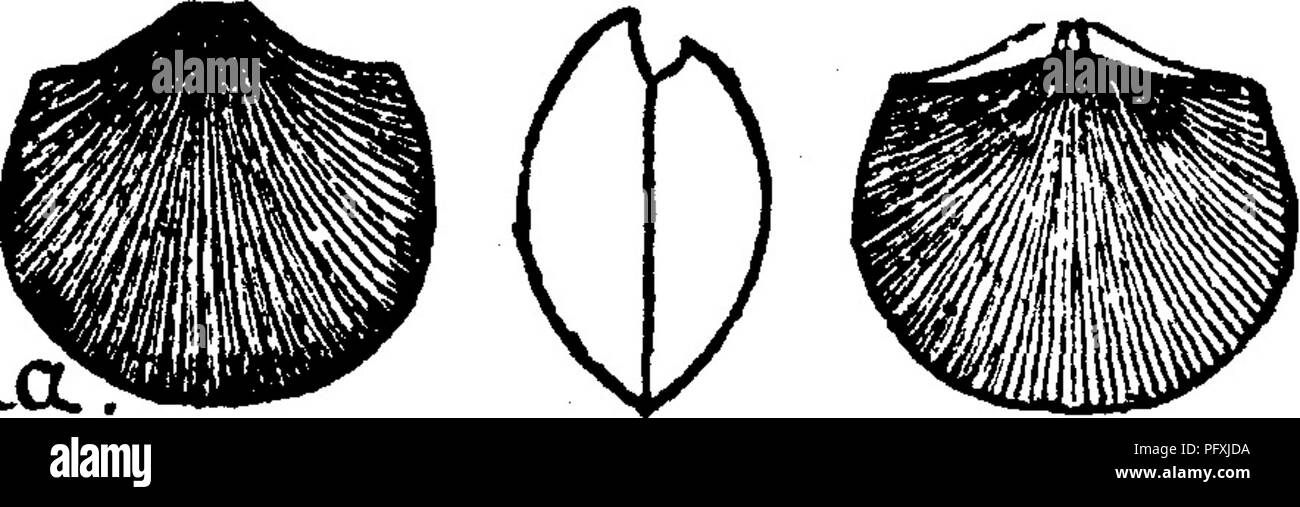 E ca c Black and White Stock Photos & Images - Alamy