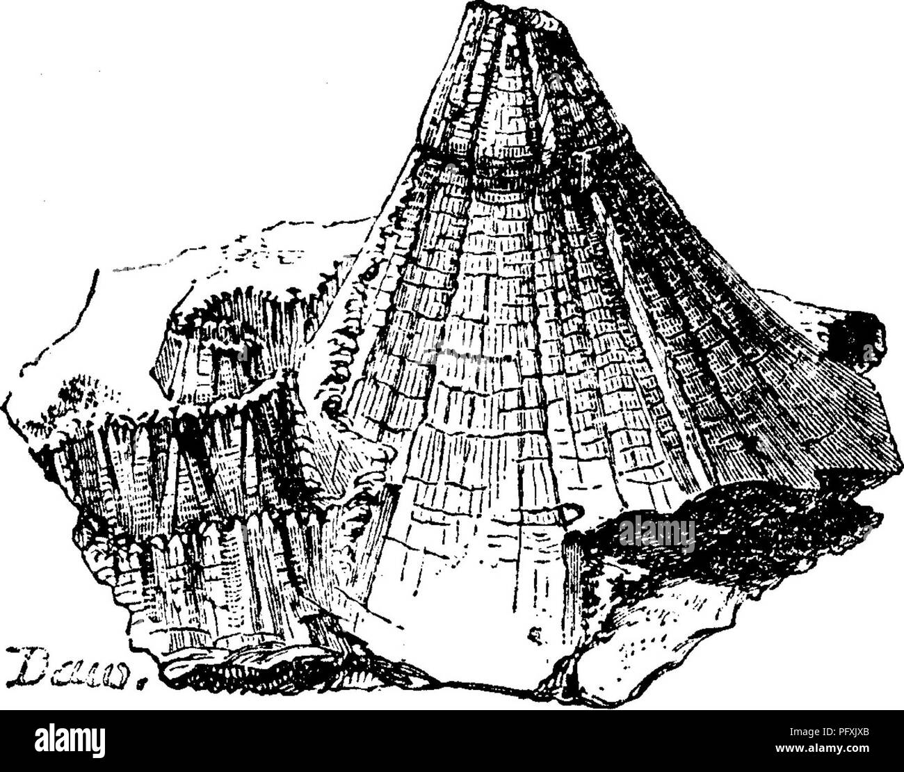 Dawson Formation High Resolution Stock Photography and Images - Alamy