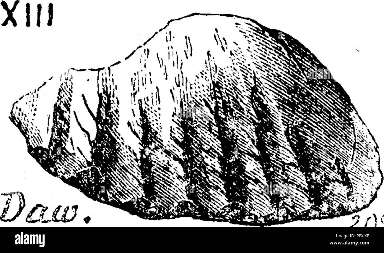 Dawson formation hi-res stock photography and images - Alamy