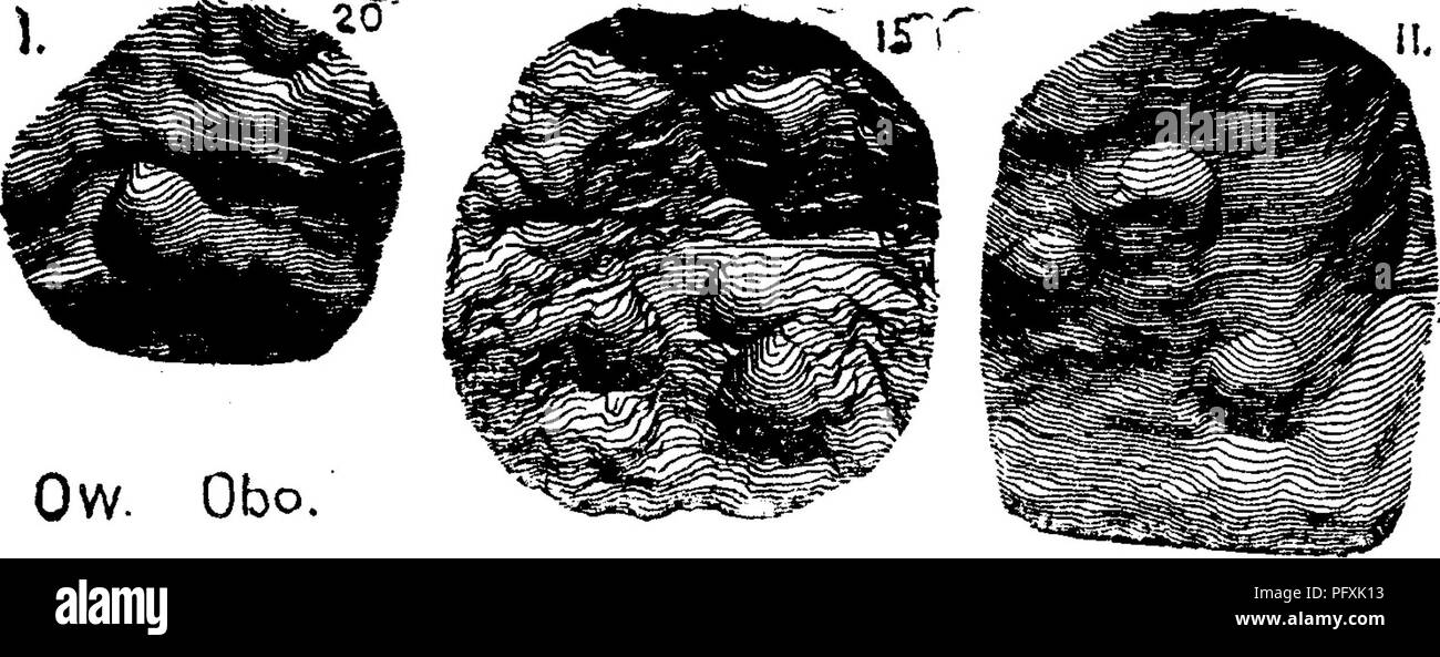 Obolus High Resolution Stock Photography and Images - Alamy