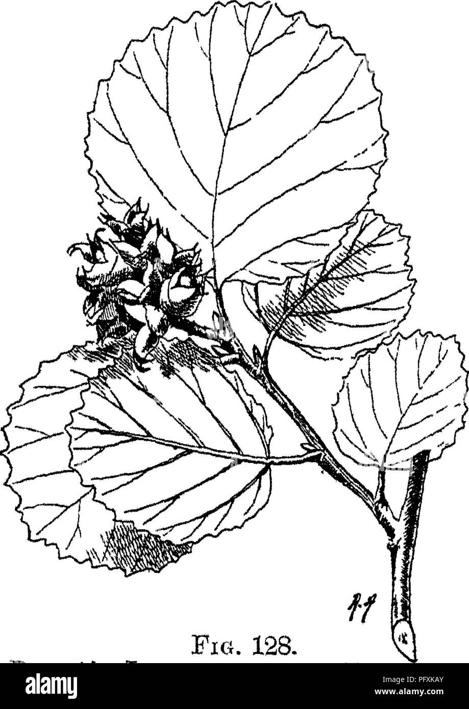 Saxi hi-res stock photography and images - Alamy