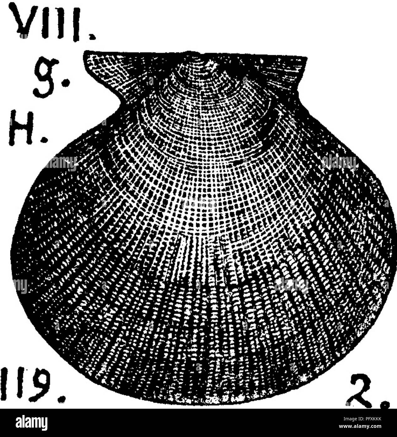 This work offers a comprehensive catalog of fossils discovered in ...