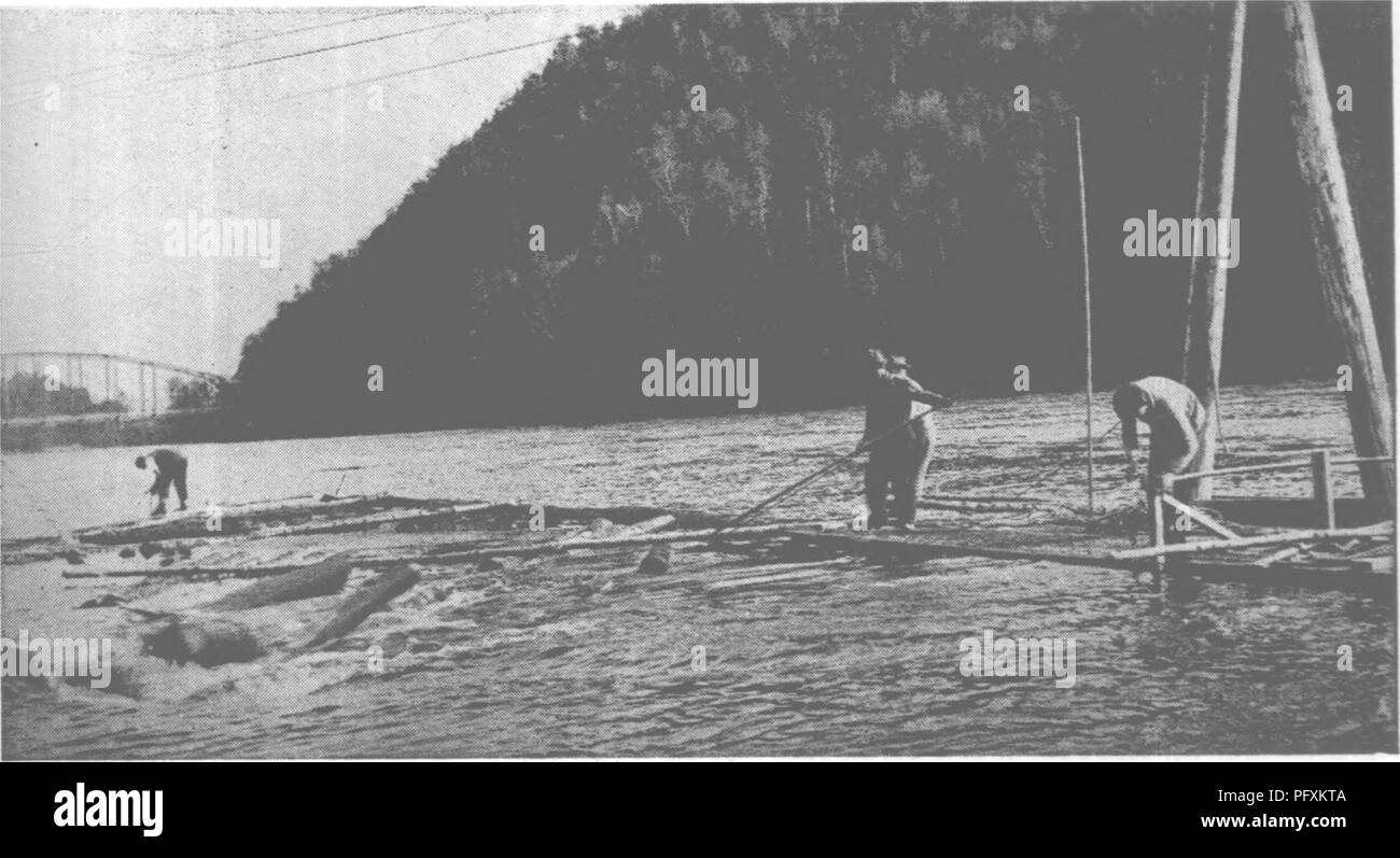 Donkey engine hauling logs hi-res stock photography and images - Alamy