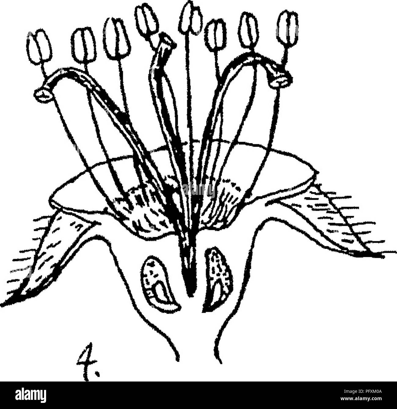 Dit me may Black and White Stock Photos & Images - Alamy