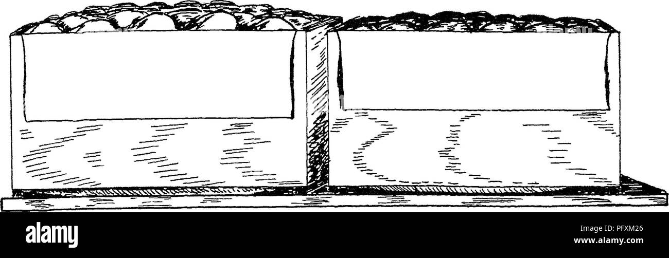 Ples Black and White Stock Photos & Images - Alamy