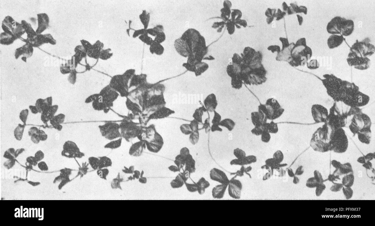 This resource provides detailed guidance on fruit and vegetable ...