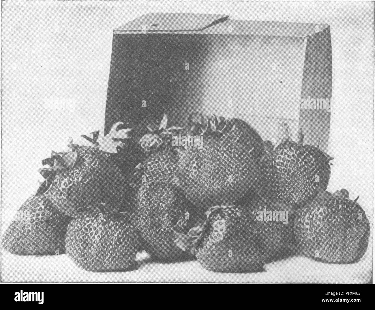 . The encyclopedia of practical horticulture; a reference system of ...