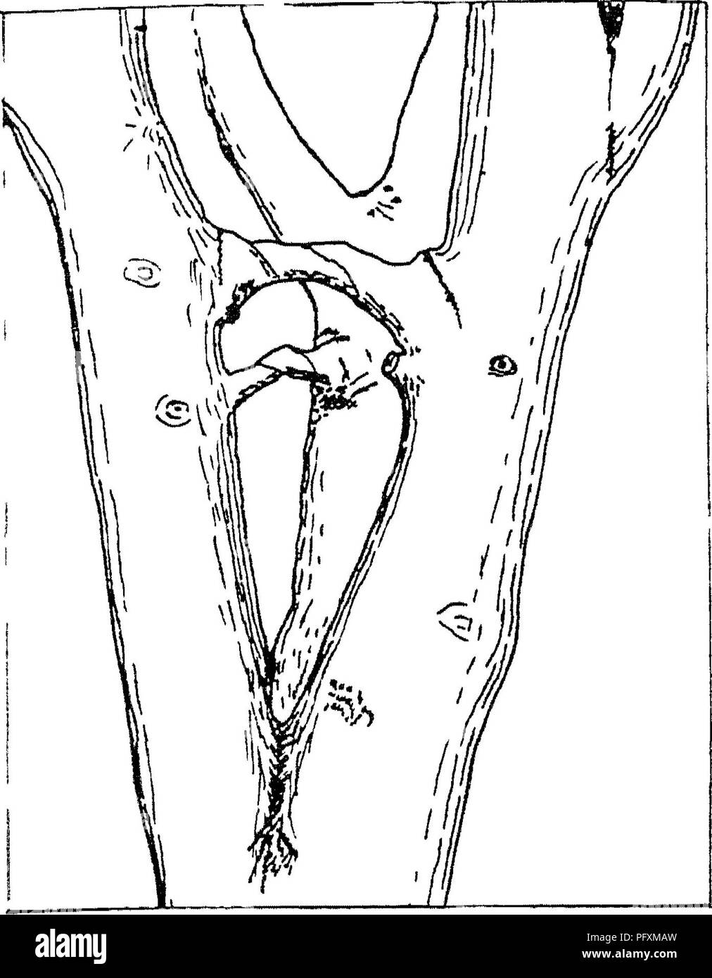 Lne 1 hi-res stock photography and images - Alamy