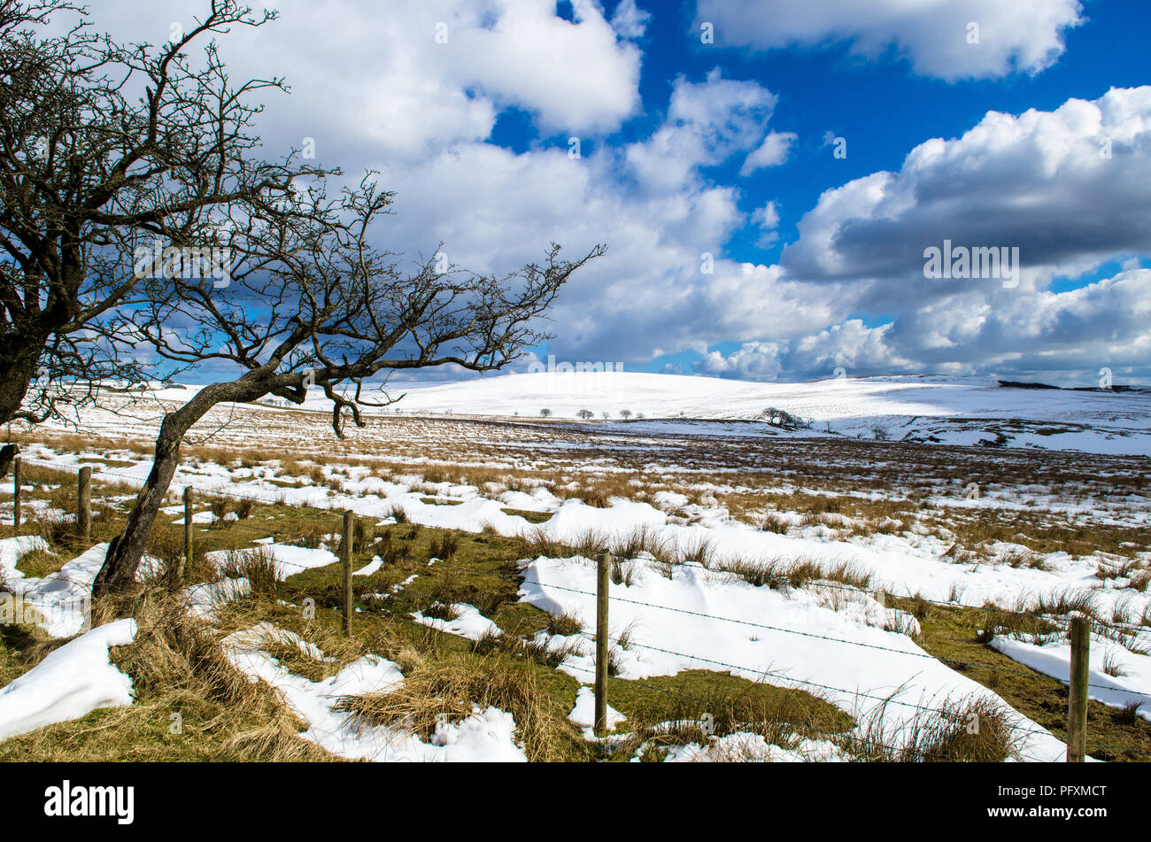Divis and Black Mountain walk Belfast Hills Snow covered Nation Trust ...
