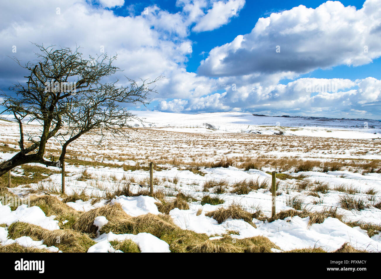 Divis mountain hi-res stock photography and images - Alamy