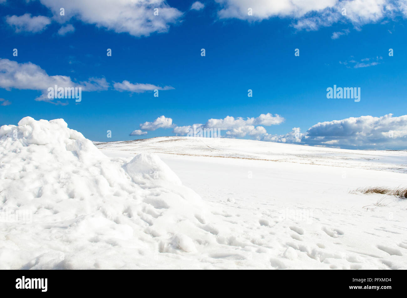 Divis and Black Mountain walk Belfast Hills Snow covered Nation Trust ...