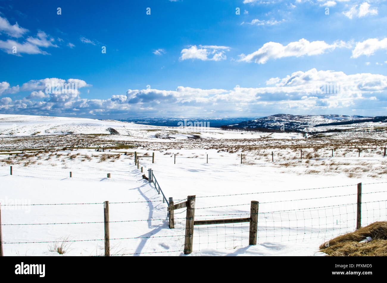 Divis and Black Mountain walk Belfast Hills Snow covered Nation Trust ...