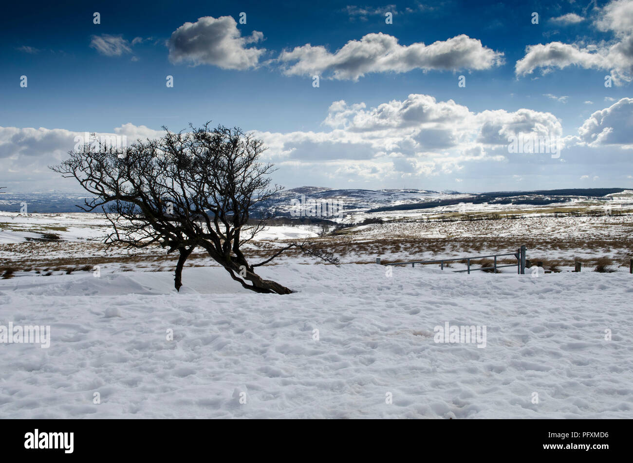 Divis and Black Mountain walk Belfast Hills Snow covered Nation Trust ...