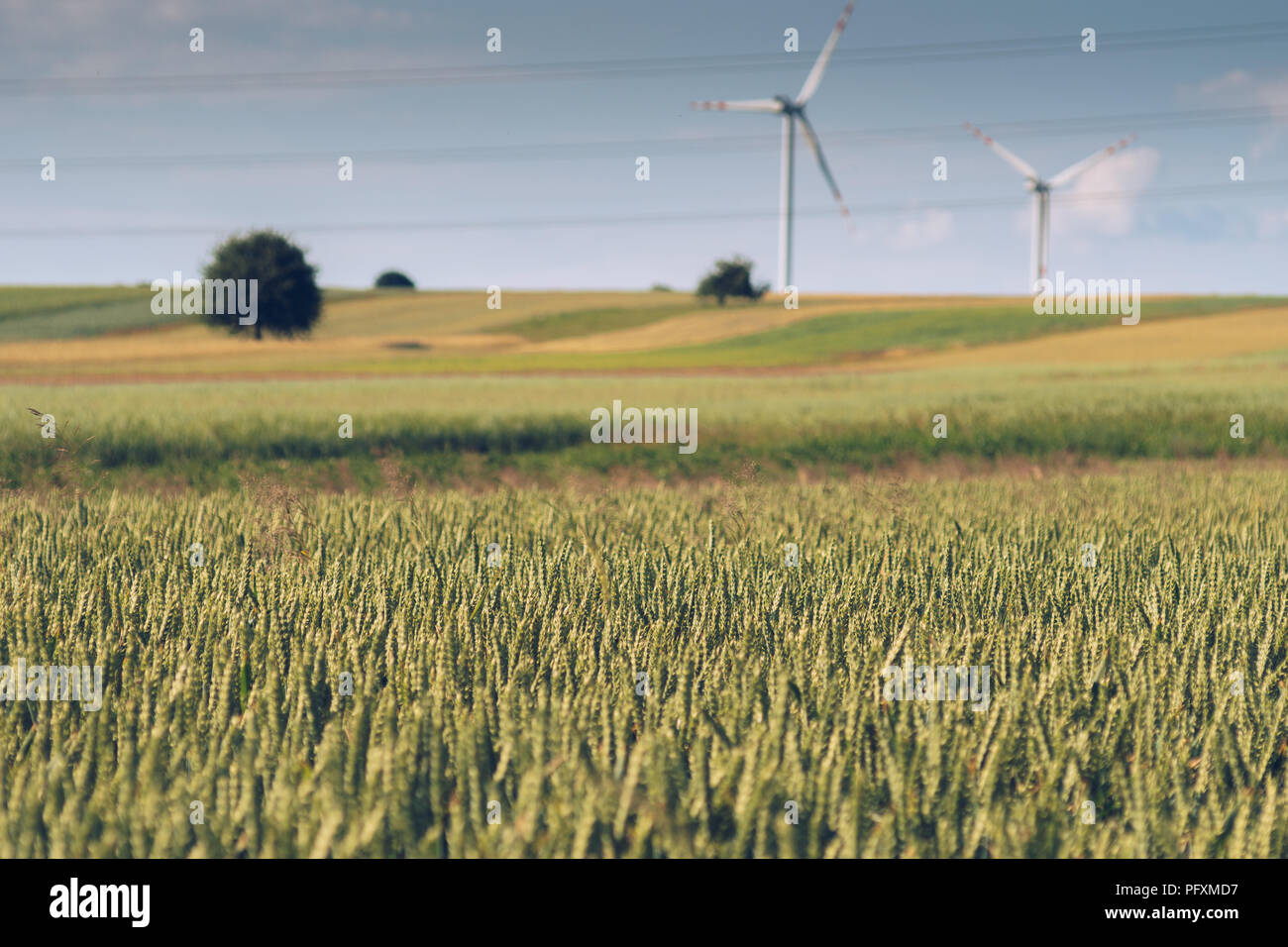 Fields full of crops hi-res stock photography and images - Alamy