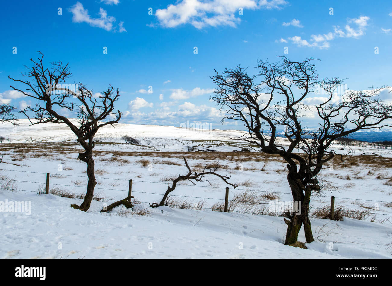 Divis and Black Mountain walk Belfast Hills Snow covered Nation Trust ...