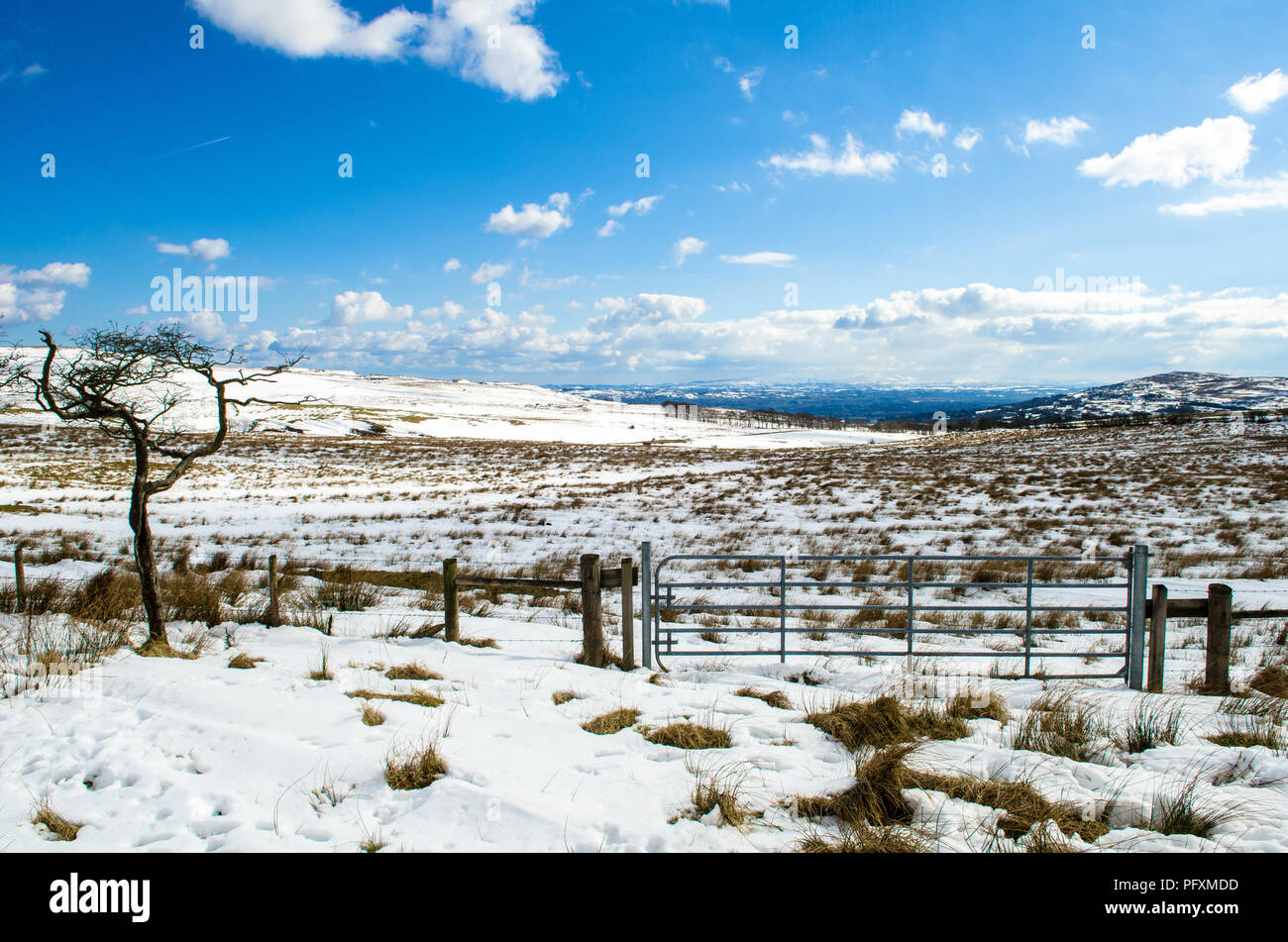 Walking cave hill country park hi-res stock photography and images - Alamy