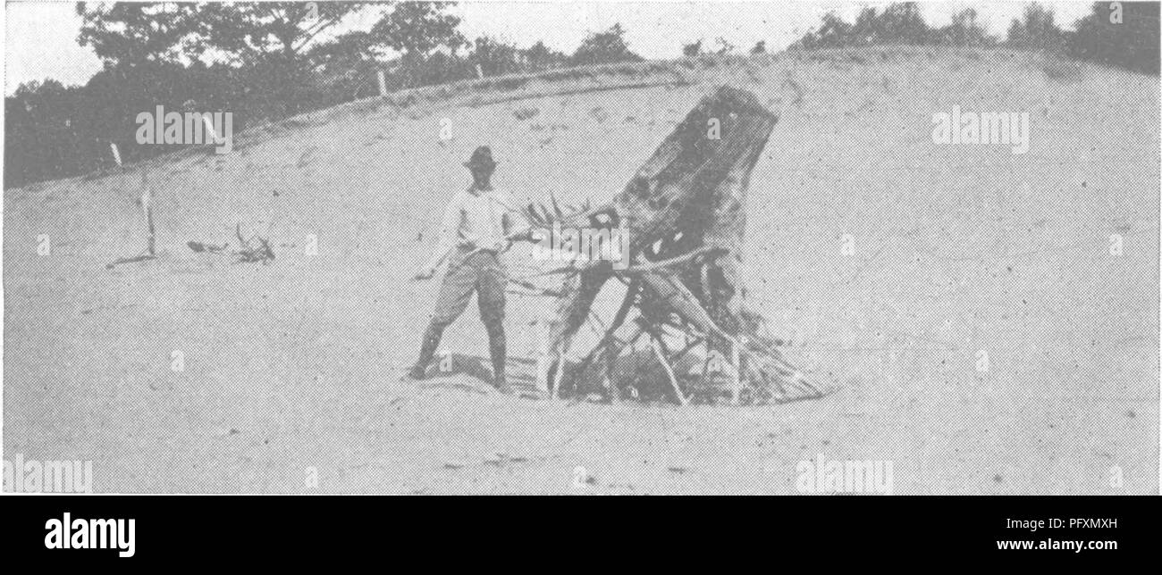 This work discusses the key principles of soil management for ...