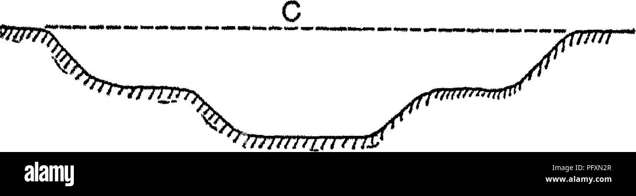 Ditch weeds Black and White Stock Photos & Images - Alamy