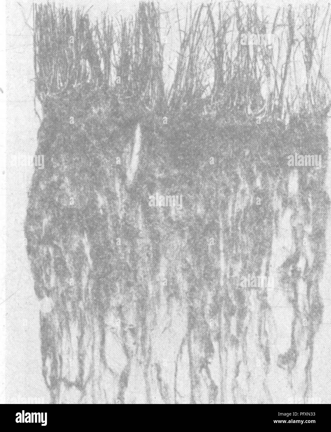 Good Soil Structure High Resolution Stock Photography and Images - Alamy