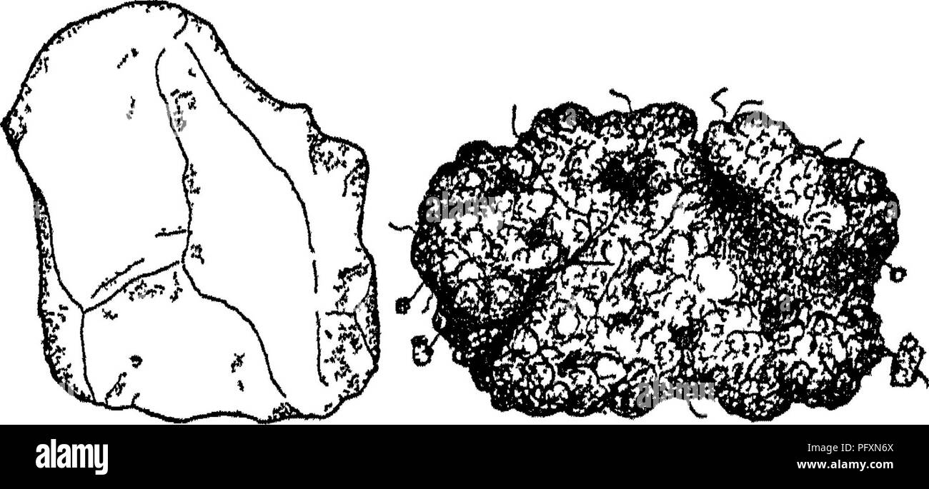 . Soils, their properties and management. Soils. SOIL STnUCTUBE 185 for ...